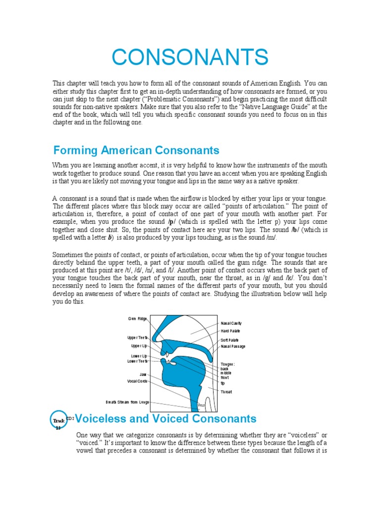Forming American Consonants: An In-Depth Guide to the Articulation of ...