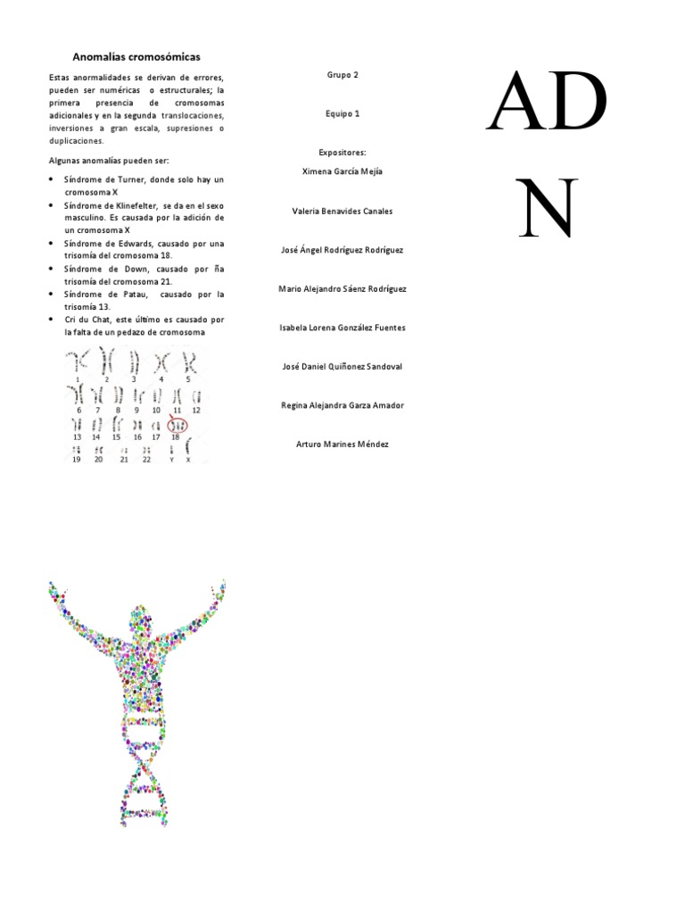ADN Tríptico | PDF | Dominancia (Genética) | Genotipo