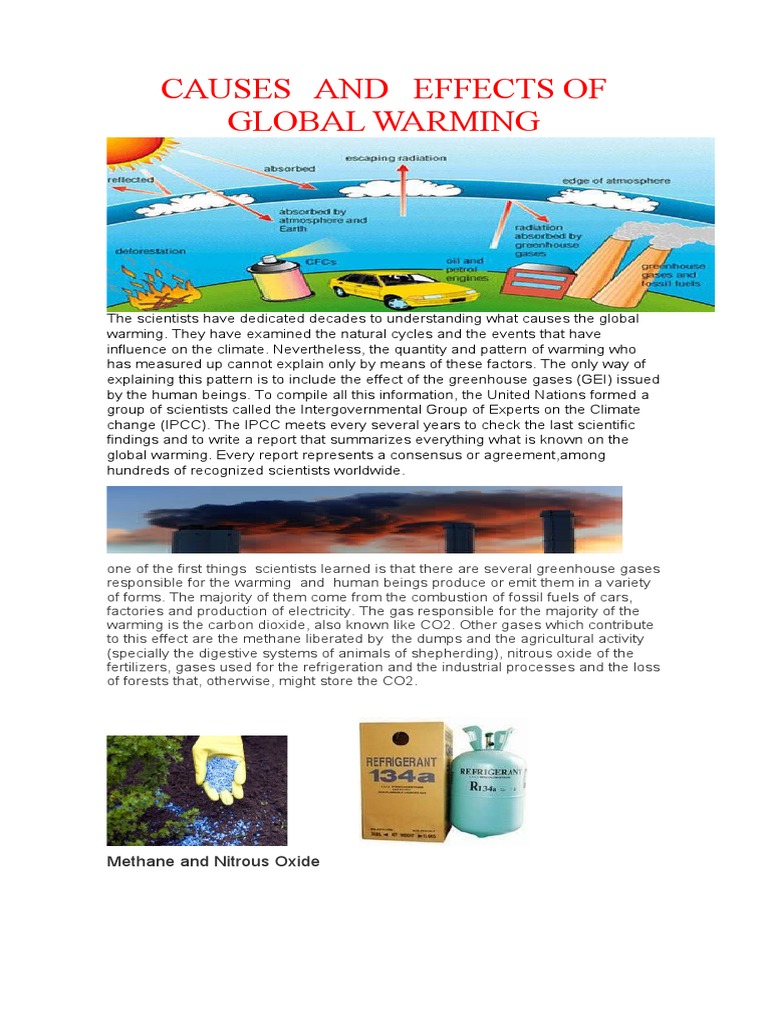 Climate Change: Causes & Effects | PDF | Global Warming | Carbon Dioxide