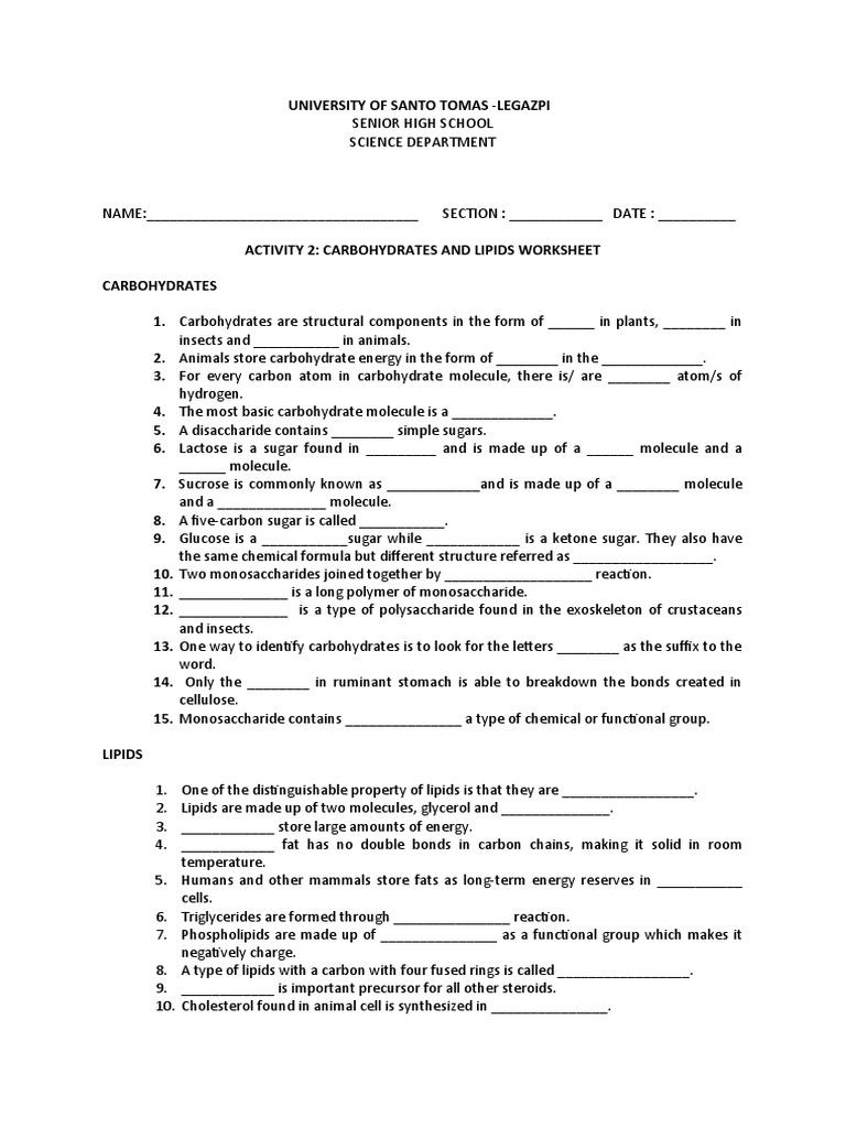 Carbohydrates and Lipids Worksheet | PDF | Carbohydrates | Lipid