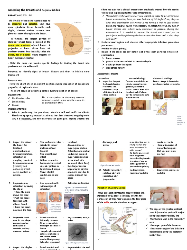Assessing The Breasts and Regional Nodes | PDF | Breast | Arm