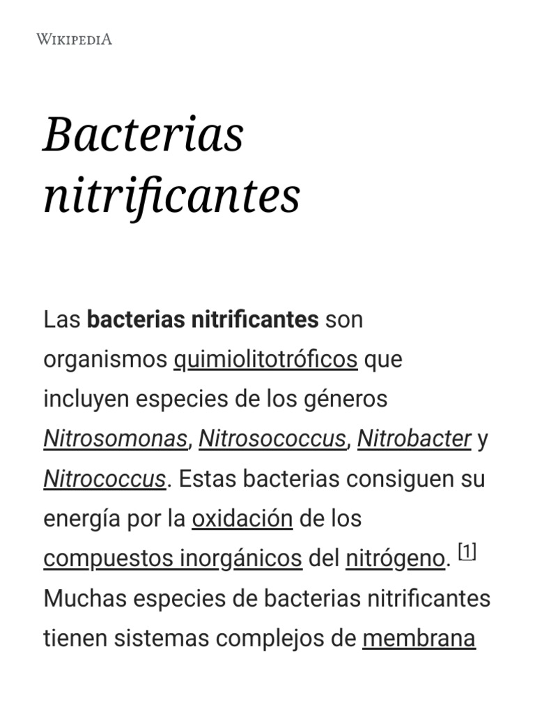 Bacterias Nitrificantes - Wikipedia, La Enciclopedia Libre | PDF ...