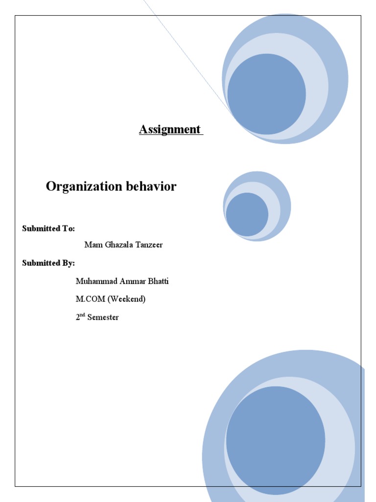 Organization Behavior: Assignment | PDF | Bias | Employment