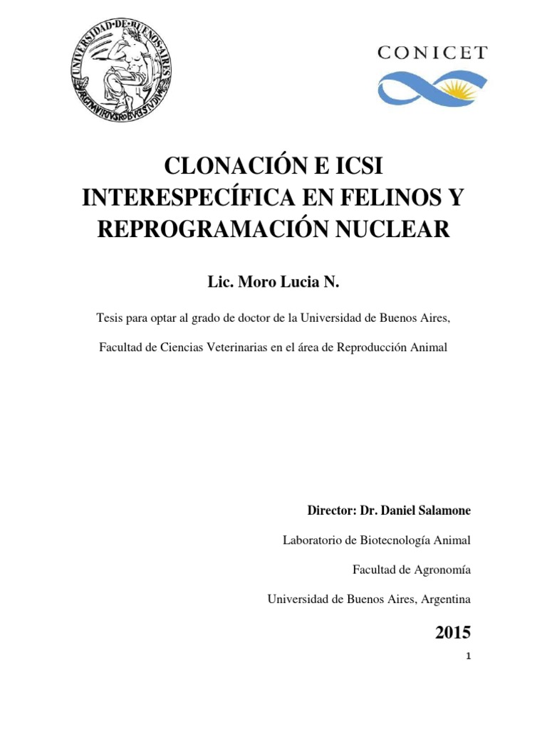Clonación e Icsi Interespecífica en Felinos y Reprogramación Nuclear | PDF | Fertilización en ...