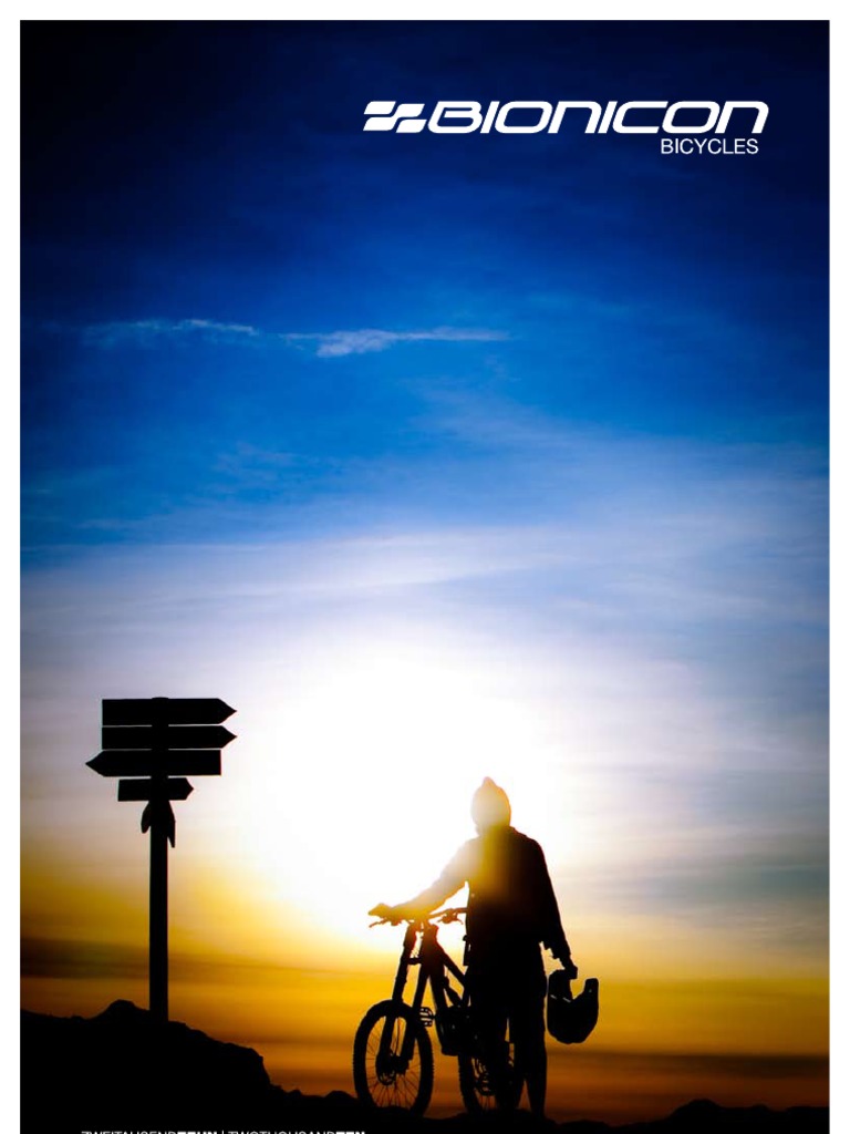Bionicon 2011 | PDF