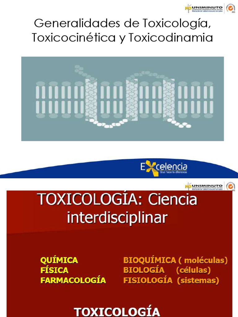 Presentacion Toxicocinetica y Toxicodinamia | PDF | Biotransformación ...