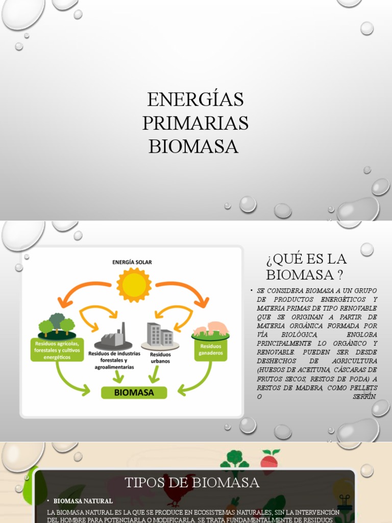 Biomasa | PDF | Bioenergía | Recursos energéticos