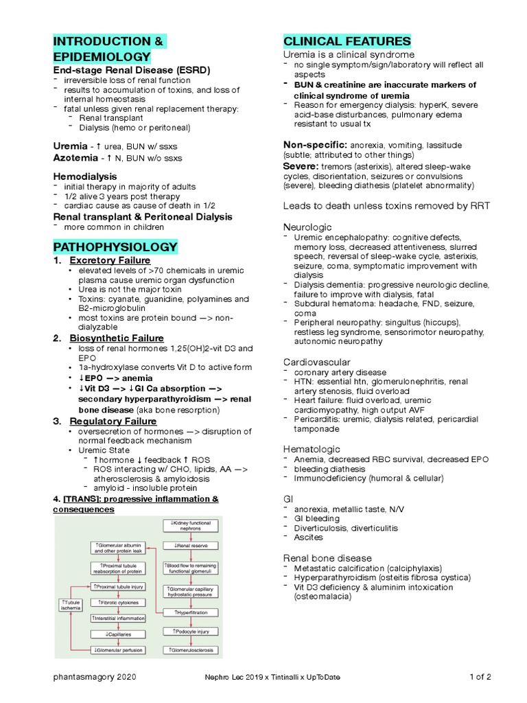 Uremia | PDF | Diseases And Disorders | Medical Specialties