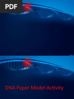 DNA Paper Model Lab Activity | PDF