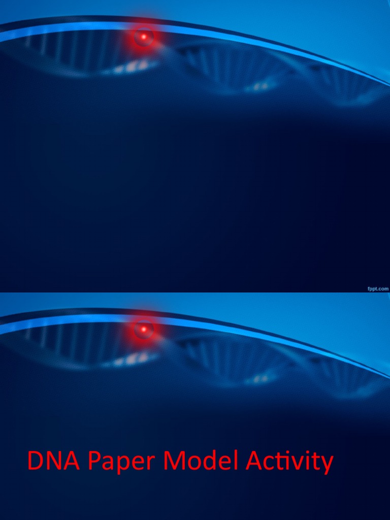 DNA Paper Model Activity | PDF | Language Arts & Discipline | Home & Garden