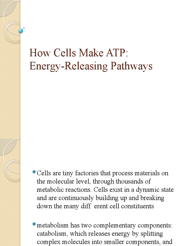 How Cells Make ATP | PDF | Cellular Respiration | Adenosine Triphosphate