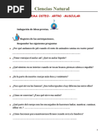 Secuencia Didáctica: La Célula 6º Grado | PDF | Biología Celular ...