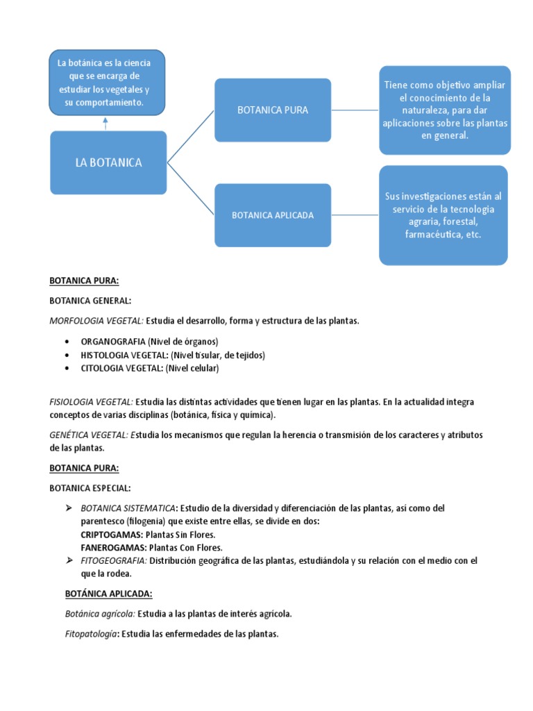 BOTANICA General | PDF | Plantas | Botánica