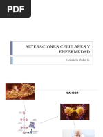 Clase 7-Cascada Ras-MAPK | PDF | Nucleo celular | Quinasa