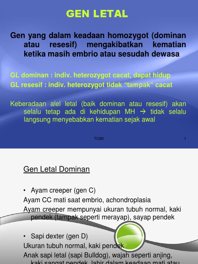 Gen Letal 1 | PDF