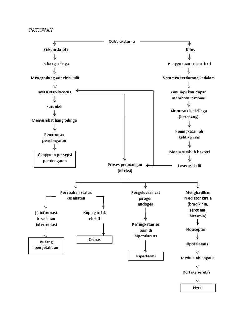 Jalur Penanganan Otitis Eksterna | PDF