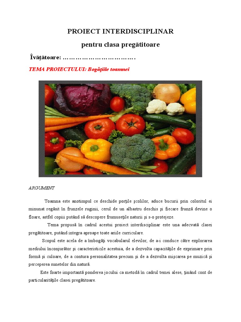 Proiect Interdisciplinar Clasa Pregatitoare | PDF