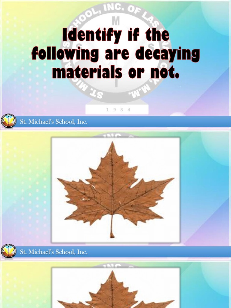 Review About Decaying Materials | PDF