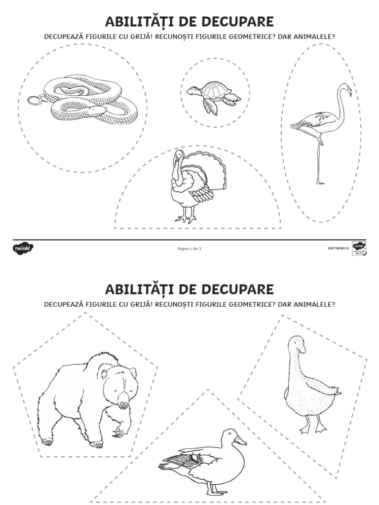 Abilitati de Decupare Fise de Activitat Black and White PDF | PDF