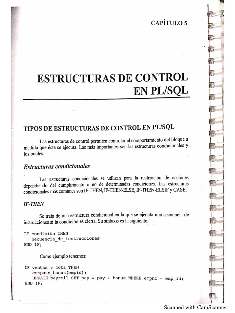 Estructuras de Control PL SQL | PDF