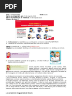 Cuentos de La Selva Actividades | PDF