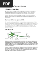 Nervous System Reflection | PDF