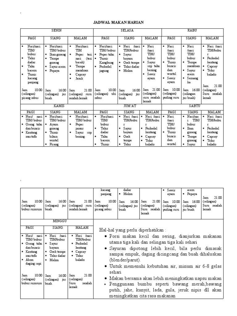 Menu Sehat Harian untuk Lansia | PDF
