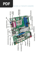 Monitor y Sus Partes | PDF