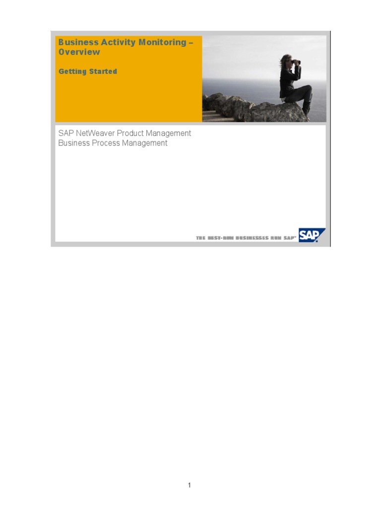 Business Activity Monitoring - : Sap Netweaver Product Management Business Process Management ...