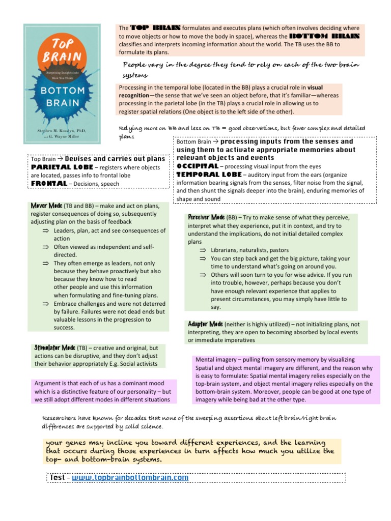 Top Brain Bottom Brain Cheat Sheet | Download Free PDF | Senses ...