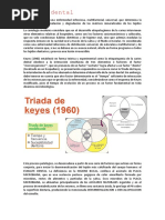 Teorías de Caries y Triada de Keyes | PDF | Las bacterias | Diente