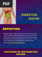 The Journey of A Cheese Sandwich! | PDF | Digestion | Digestive System