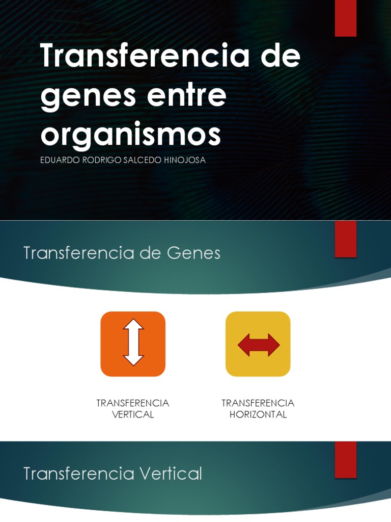 Transferencia de Genes: Vertical y Horizontal | PDF | Ciencias sociales ...