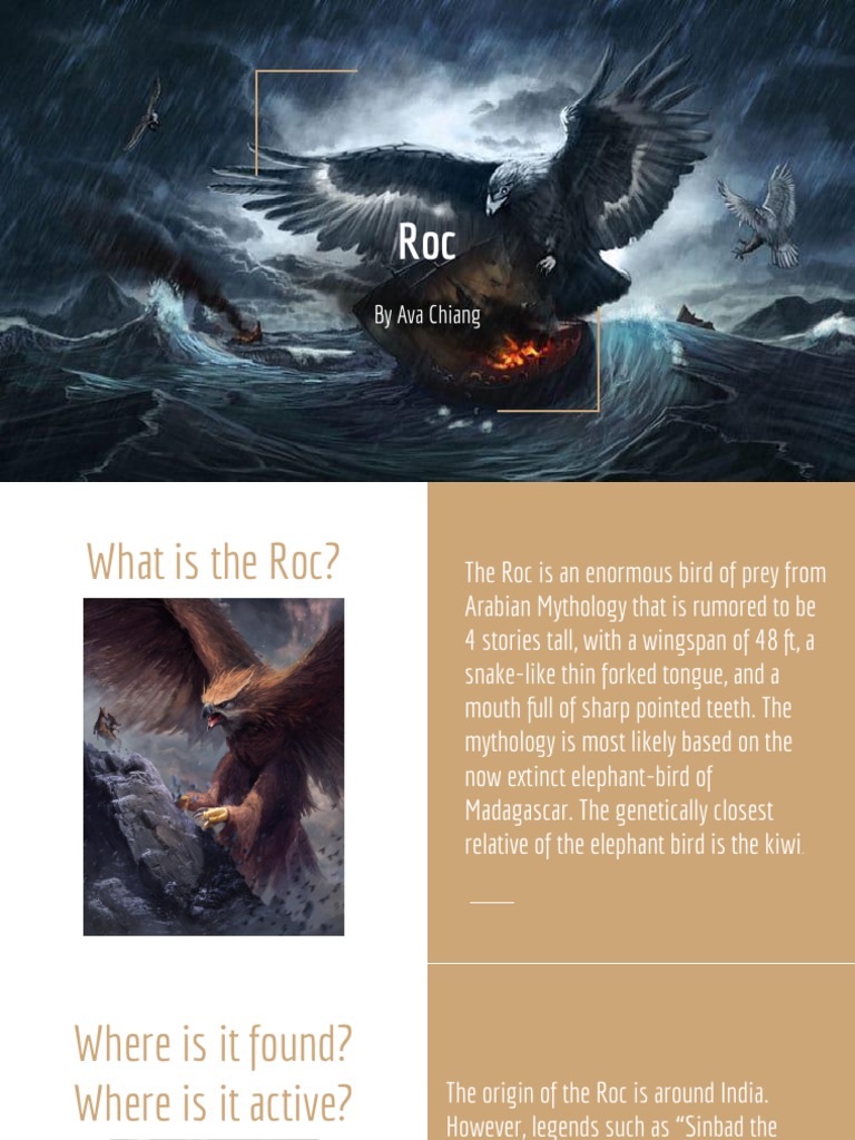 Ava's - Roc Final Presentation | PDF | Egg | Nest