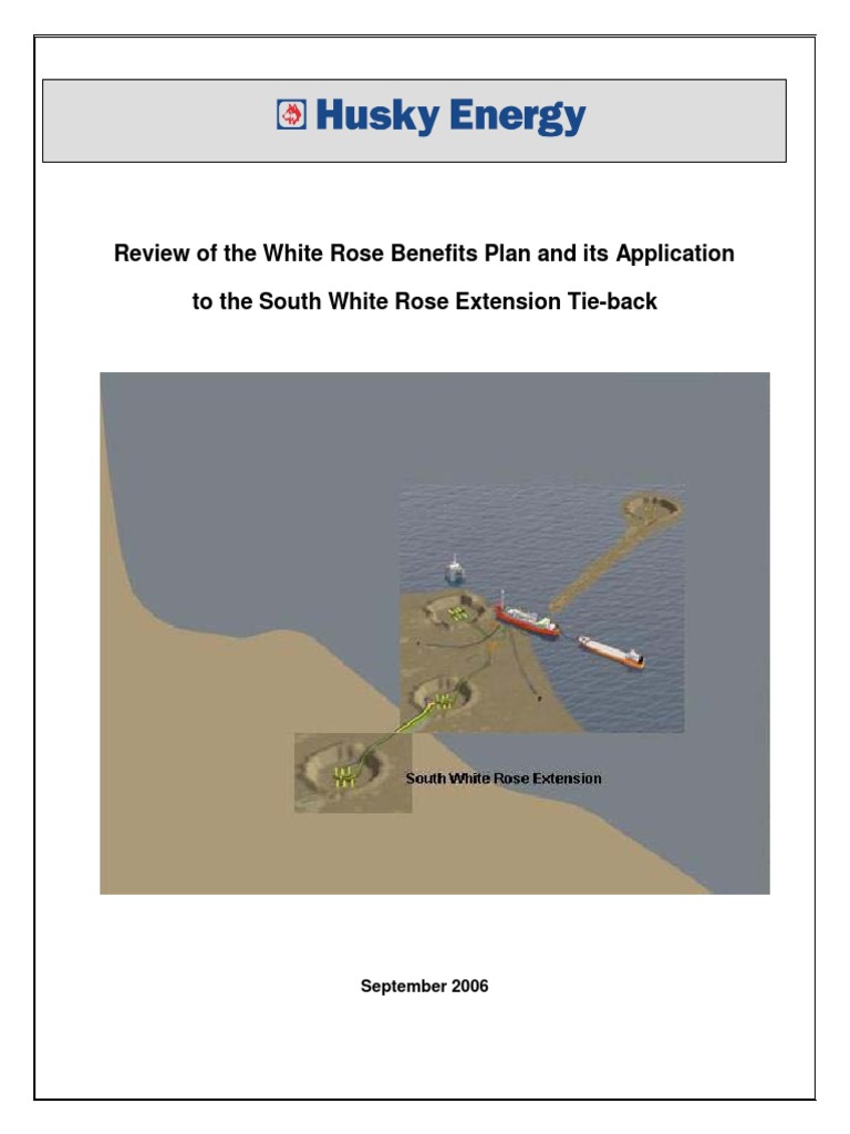 Review of The White Rose Benefits Plan and Its Application To The South ...
