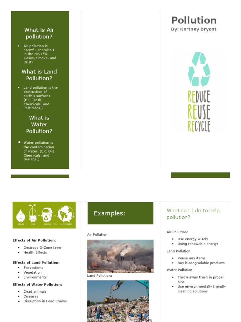 Sample Brochure | PDF