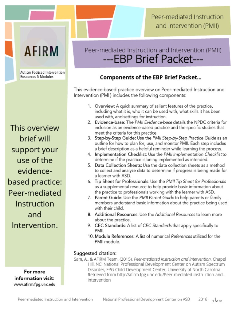 Pmii Ebp Packet | PDF | Autism Spectrum | Developmental Disorder