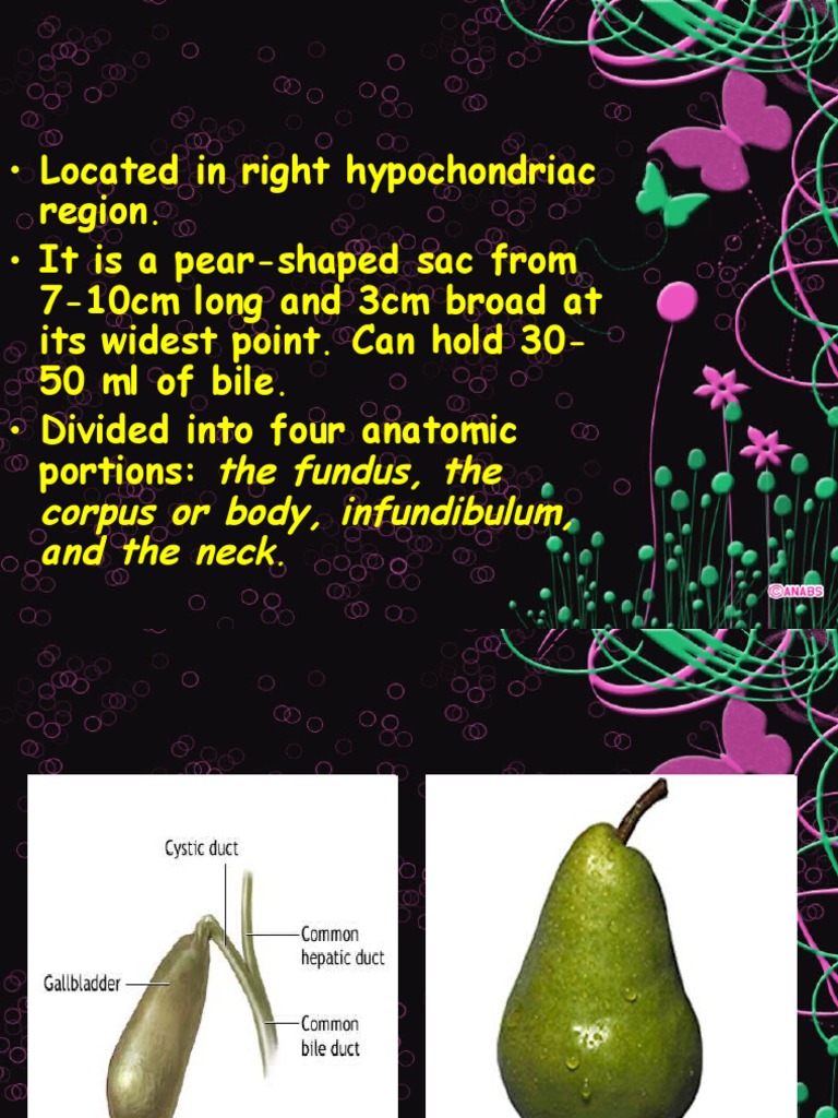 Anatomy and Physiology of Gallbladder | PDF