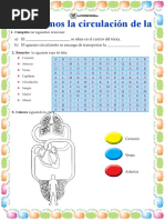 Ficha de Actividad - La Familia y Sus Tipos | PDF | Ciencia y matemáticas