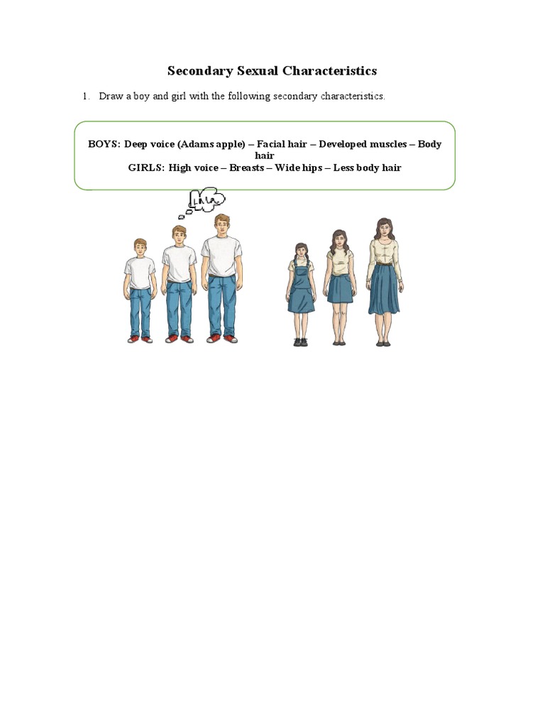 Secondary Sexual Characteristics Puberty