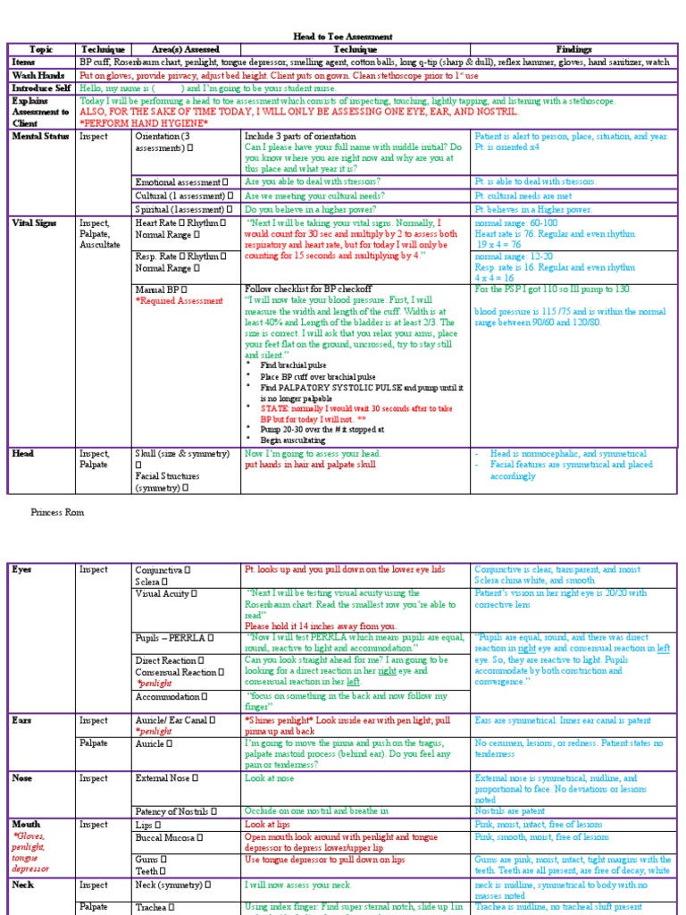 Head To Toe Assessment | PDF | Pulse | Primate Anatomy