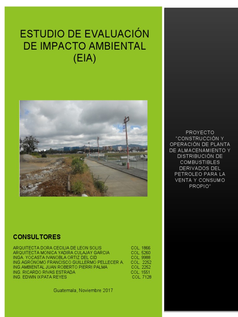 Estudio de Evaluación de Impacto Ambiental (EIA) : Consultores | PDF ...