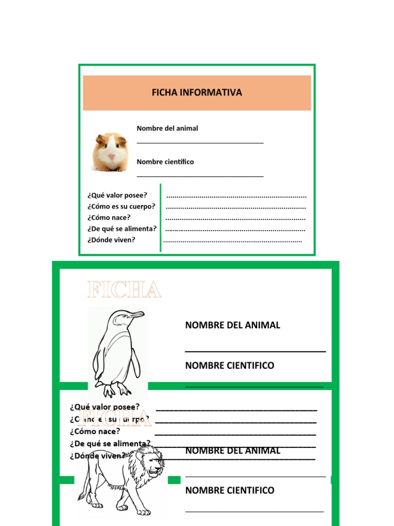 Fichas Informativas | PDF | Naturaleza