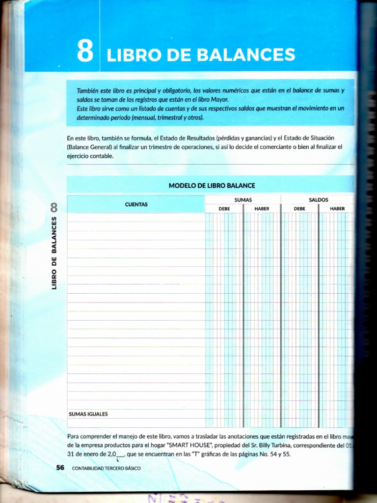 Balance de Saldos | PDF