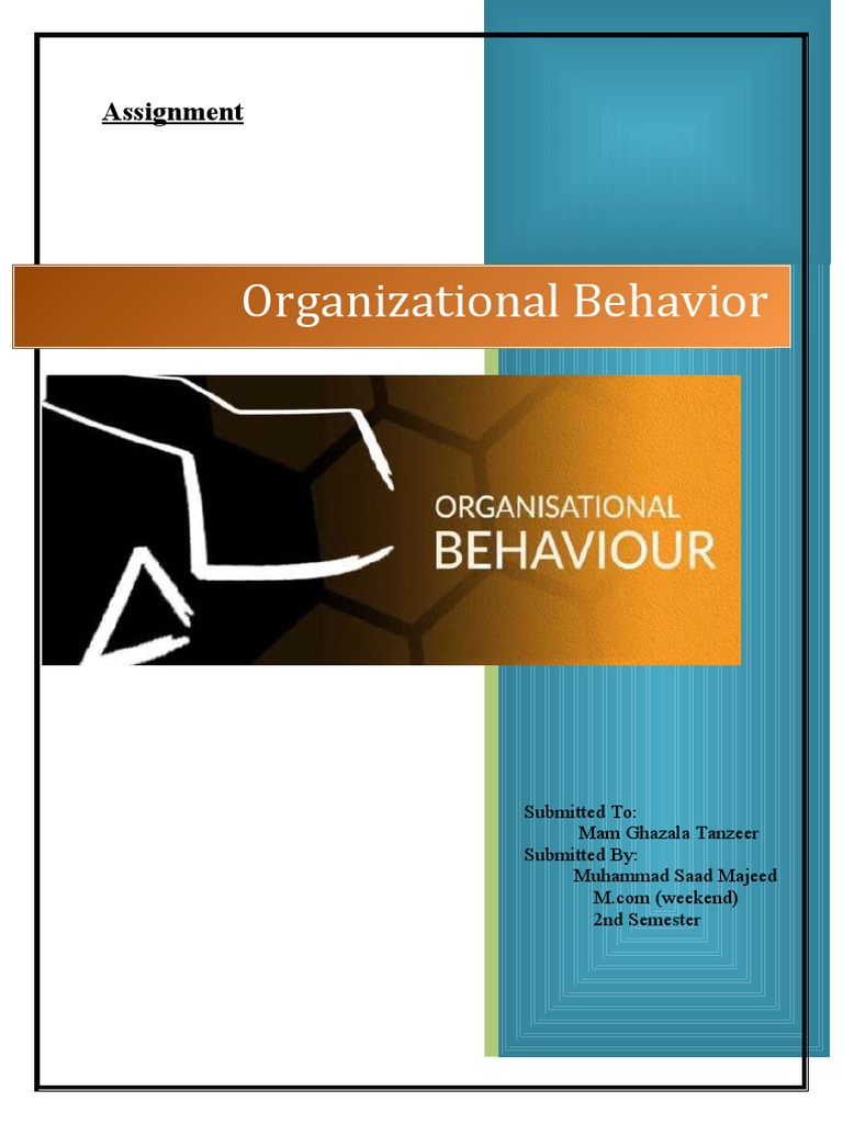 Organizational Behavior: Assignment | PDF | Extraversion And Introversion | Employment