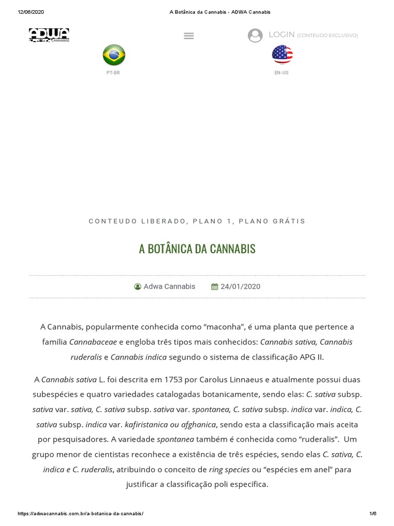 Uma Análise Botânica Abrangente Da Cannabis Incluindo Suas
