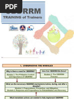 DRRM Fund Utilization | PDF | Emergency Management | Disaster And Accident