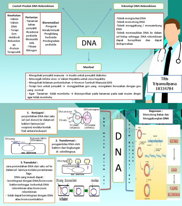 Mind Map Dna Rekombinan | PDF