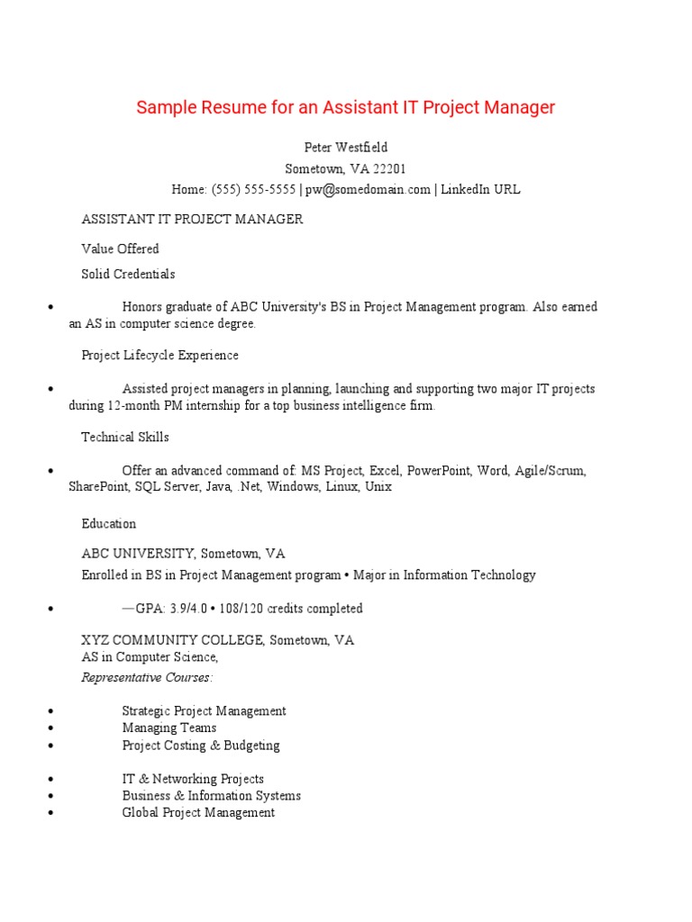 Sample Resume For An Assistant IT Project Manager: Representative ...