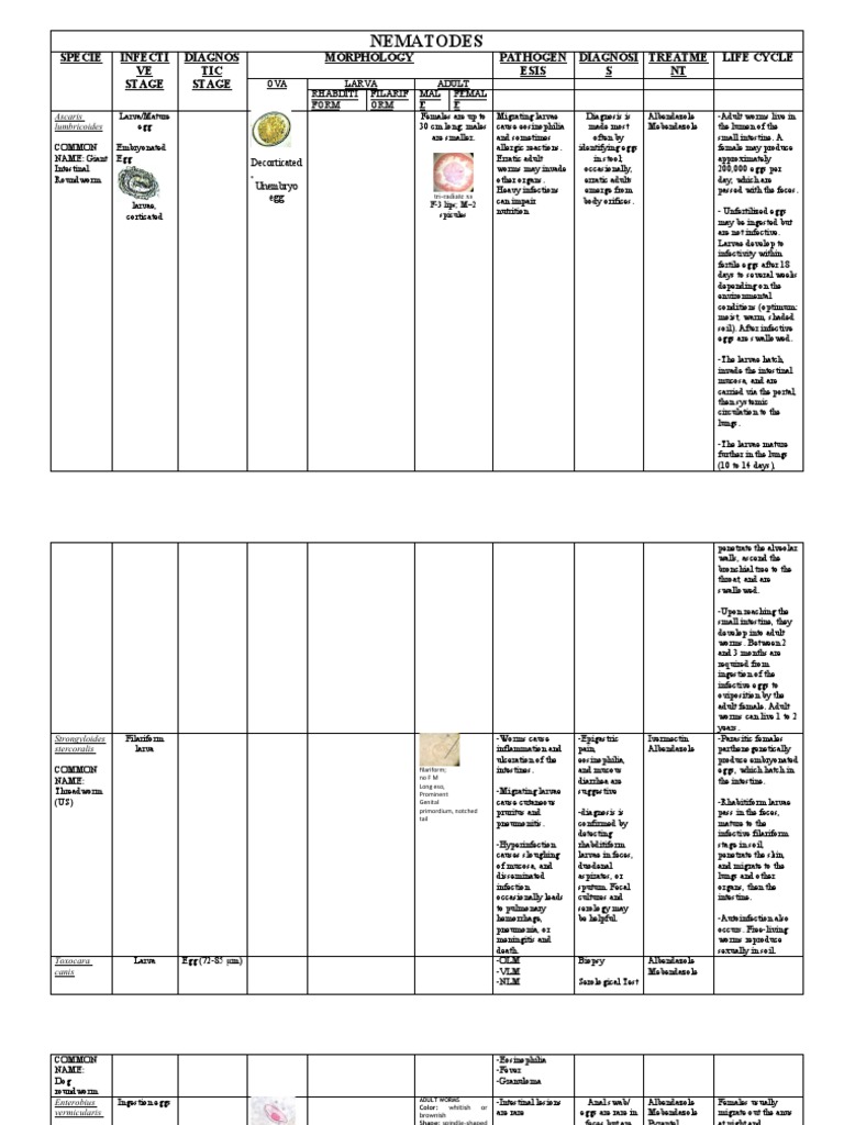 Nematodes: Specie Infecti VE Stage Diagnos TIC Stage Morphology ...